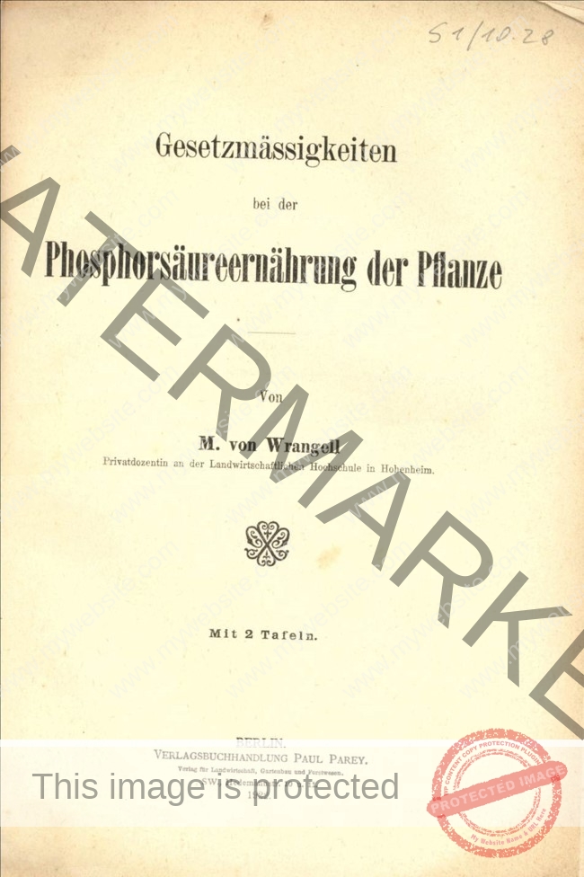 Wie Margarete von Wrangell zur ersten Professorin Deutschlands wurde ... Wie Margarete von Wrangell zur ersten Professorin Deutschlands wurde ...