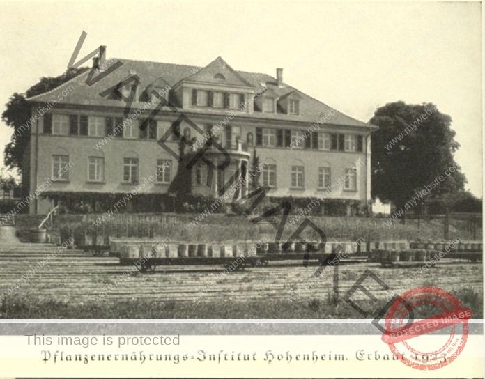 Wie Margarete von Wrangell zur ersten Professorin Deutschlands wurde ... Wie Margarete von Wrangell zur ersten Professorin Deutschlands wurde ...